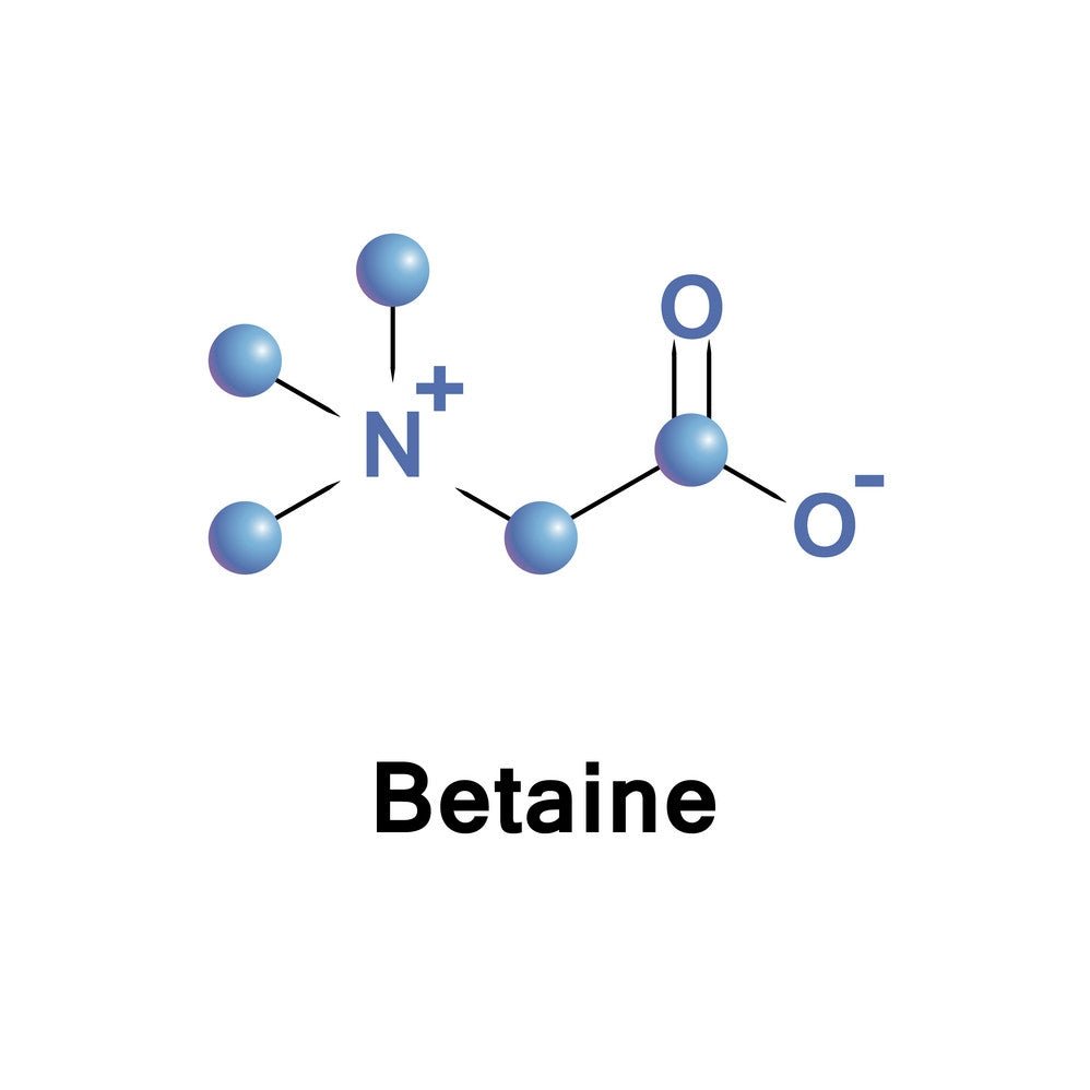 Betaine Supplements: Digestive Support and Wellness Boost – RightNutri ...