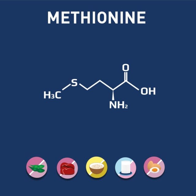Methionine: Amino Acid for Detoxification and Health Support ...